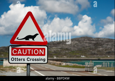 Caution Otters Crossing red triangle road sign by causeway from Stock ...