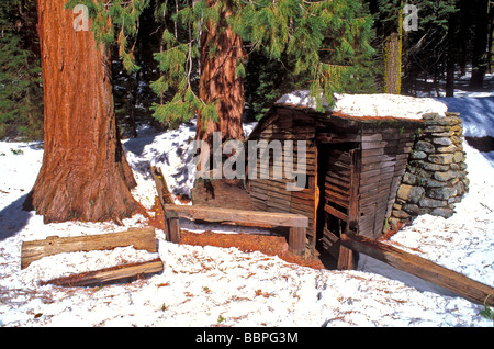 Tharp's Log in winter, Giant Forest, Sequoia National Park, California ...