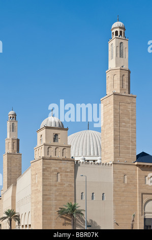 Rijadh the Al Raijemi Grand Mosque Stock Photo - Alamy