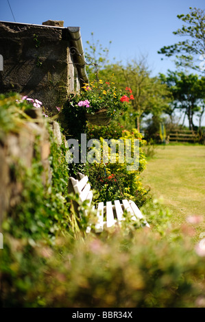 English country garden, Fraddam, Cornwall Stock Photo - Alamy