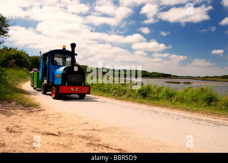 The Noddy land train taking passengers along Hengistbury Head Stock ...