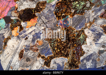 Troctolite Gabbro slide section, cross polarized lighting ...