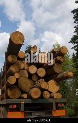Forestry lorry loaded with tree trunks in Vercors, Drome France Stock ...