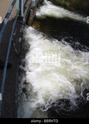 Water flowing over spillway weir from calm scenic tree-lined lake on ...