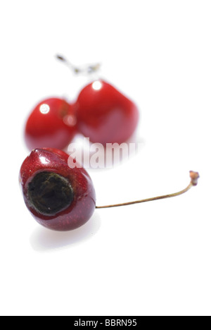 rotten cherry focused and two fresh cherries Stock Photo - Alamy