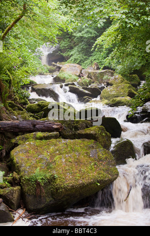 The Glen Lyn Gorge in Lynmouth,Devon,UK Stock Photo - Alamy