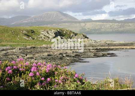 Village of Carradale, Scotland. Picturesque view of Port Righ beach ...
