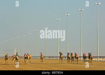 Dubai Camel racing with robot jockey Stock Photo - Alamy