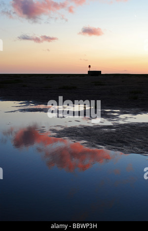 sunset reflections in tidal pools Stock Photo - Alamy