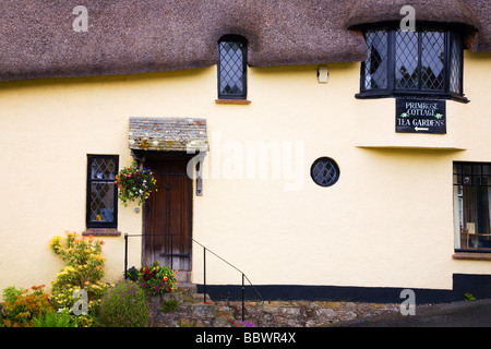 Primrose Cottage Tea Rooms Lustleigh Devon England Stock Photo - Alamy
