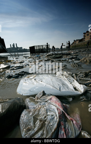 Volunteer clean up of the river Thames in London. Plastic pollution in ...