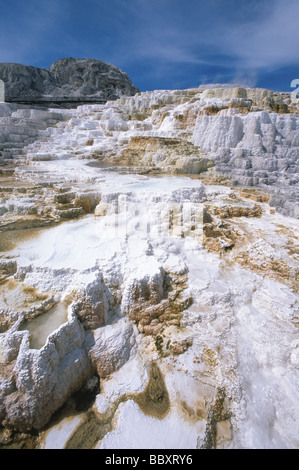 Minerva Terrace, Yellowstone National Park. Frank Jay Haynes (American ...
