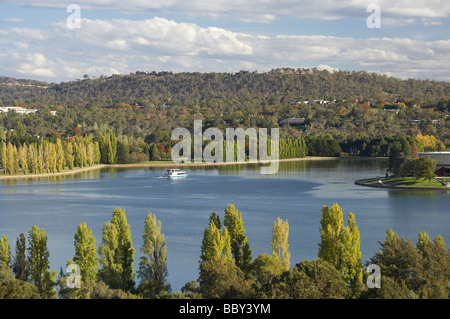 Autumn Poplar Trees Lake Burley Griffin Canberra ACT Australia Stock Photo - Alamy