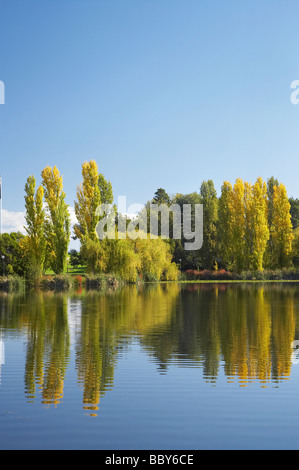 Autumn Colours at Commonwealth Park and Nerang Pool right Black ...