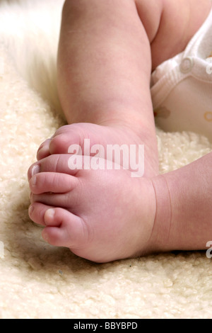 Baby feet up close showing the feet and toes Stock Photo: 15972348 - Alamy