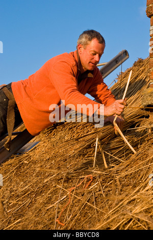 A thatcher at work in Dorset, England Stock Photo - Alamy