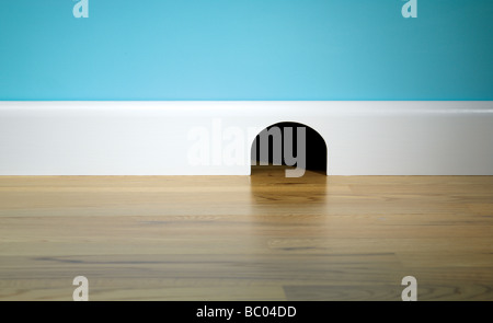 Mouse hole in a skirting board / baseboard Stock Photo - Alamy