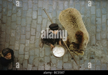 Dancing Bear Istanbul Turkey Stock Photo - Alamy