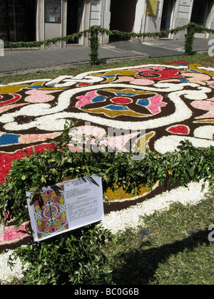infiorata flowers petals designs festival in genzano, lazio 2009 Stock ...