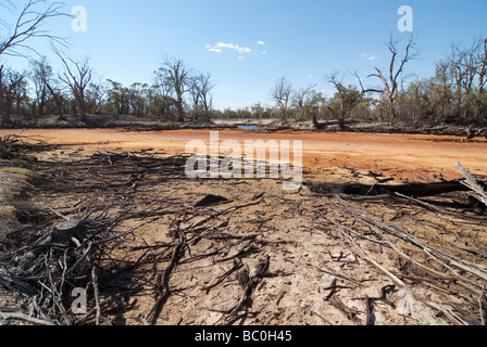 Wetland acidified by acid sulfate soils Stock Photo - Alamy
