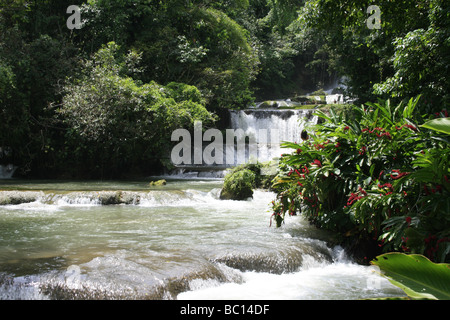 The YS Waterfalls in Jamaica, Caribbean, America Stock Photo - Alamy