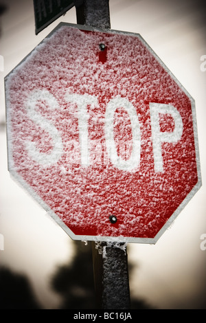 Snow covered stop sign Stock Photo - Alamy