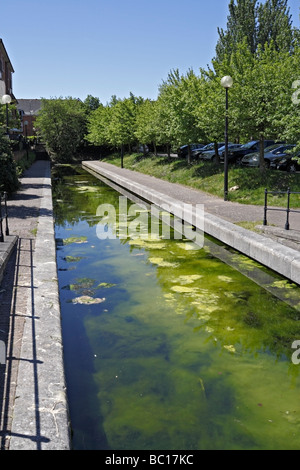 Cardiff Docks feeder stream showing algae bloom Atlantic Wharf Stock ...