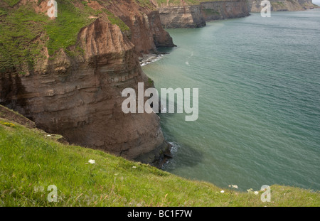 Sea cliffs at Boulby on the North Yorkshire Coast Stock Photo - Alamy
