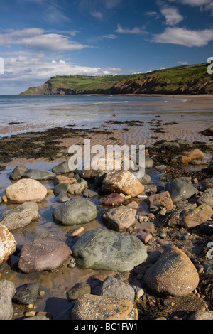 The beach and cliffs at Ravenscar on the North Yorkshire Coast Stock ...