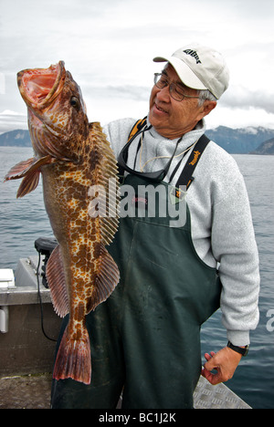 Sharp fanged toothy maw of a ferocious ling cod Ophiodon elongatus ...