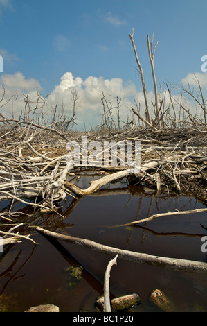 Hurricane damage. Hurricanes regularly bring devastation to Cuba. Pinar ...