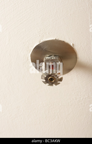ceiling fire sprinkler Stock Photo - Alamy