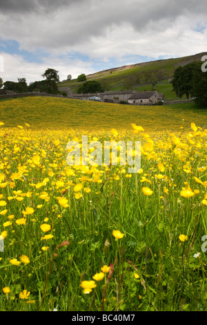 Wild flower meadow near Healaugh, Swaledale, Yorkshire Dales National ...