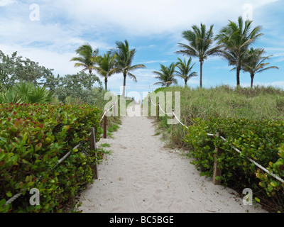 Beach path in South Beach, Miami Beach, Florida, USA Stock Photo - Alamy