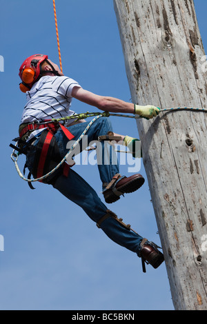 Workman climbing a telegraph pole using ropes and leg spikes, Edinburgh ...