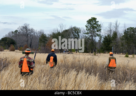 Upland Bird Hunters Walking through Field at Buckeye Plantation with ...
