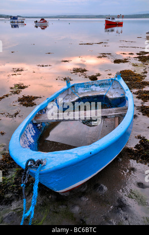 Montrose Basin Angus Stock Photo - Alamy