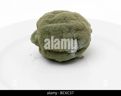 A lemon which has gone mouldy Stock Photo - Alamy