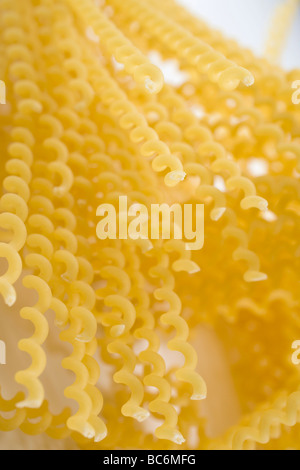 Fusilli lunghi (long pasta spirals Stock Photo - Alamy