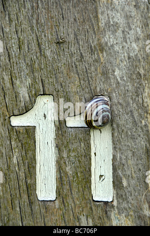 Number eleven 11 Stock Photo - Alamy