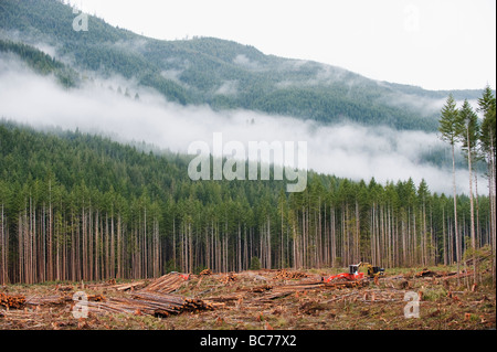 deforestation in Carmanah Walbran Provincial Park Vancouver Island ...