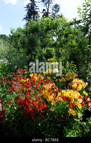 Holcombe Court Holcombe Rogus Devon Stock Photo - Alamy