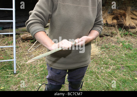 A thatching spar used in the thatching trade to help keep the roof in ...