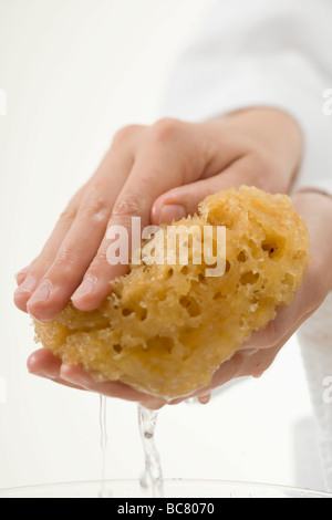 Hands squeezing out wet bath sponge Stock Photo - Alamy