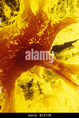 Special Effects -fluid flows within liquids Stock Photo - Alamy