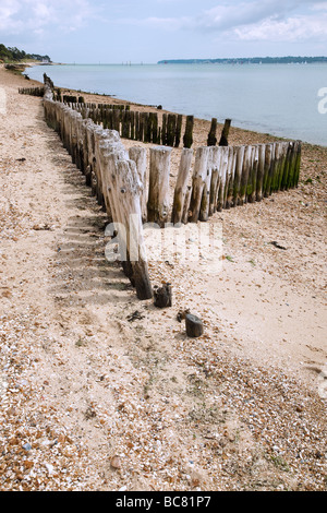 groynes on sandy beach by the sea made of weathered wooden piles in the ...