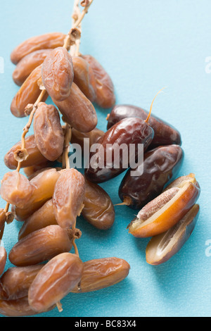 Dates on the stalk Stock Photo - Alamy