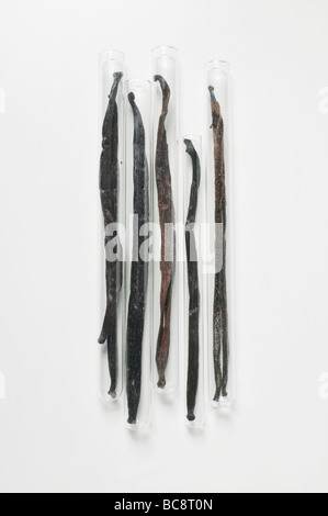 Vanilla pods in glass tubes FoodCollection Stock Photo - Alamy