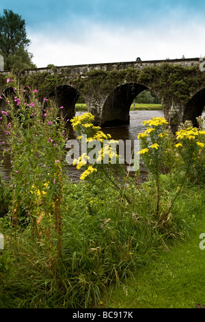The ten arch stone bridge spanning the River Nore, Inistioge, County ...