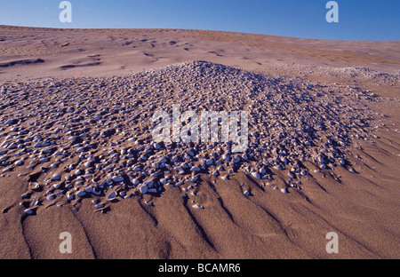 Aboriginal Midden, Coorong National Park, Fleurieu Peninsula, South ...